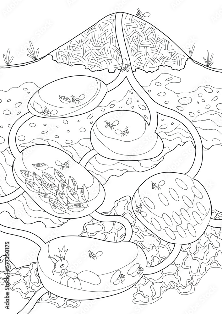 Ants in their nest in coloring style. Anthill in section under ground ...