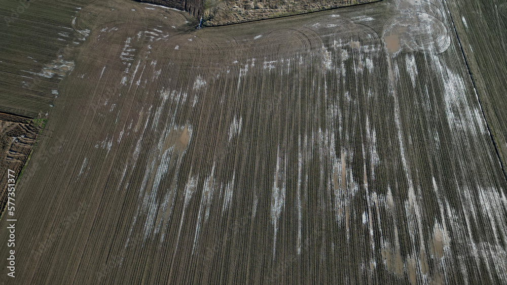 floods in fields destroy crops. rows of plants can be seen that have ...