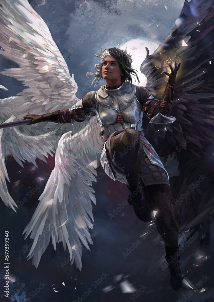 A two-faced angel girl with black and white wings soars in the sky ...