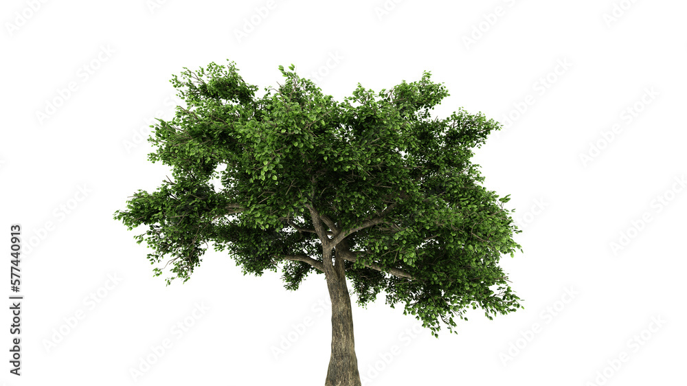 Cut tree to be used as raw material for editing work. 3d rendering ...