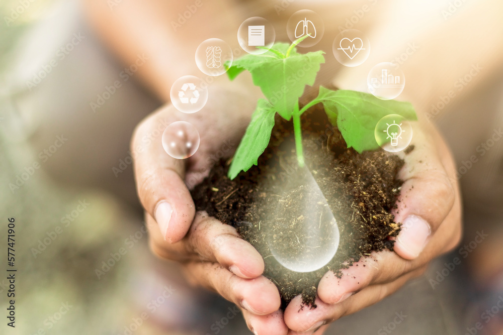 hand touching planting small plants with holographic soil environmental ...