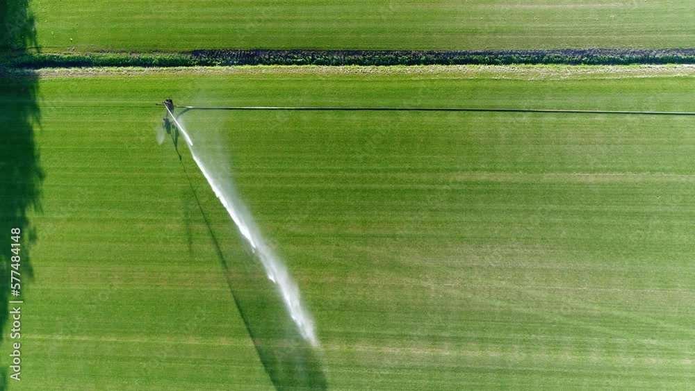 Aerial top down view of an irrigation sprinkler is a device used to ...