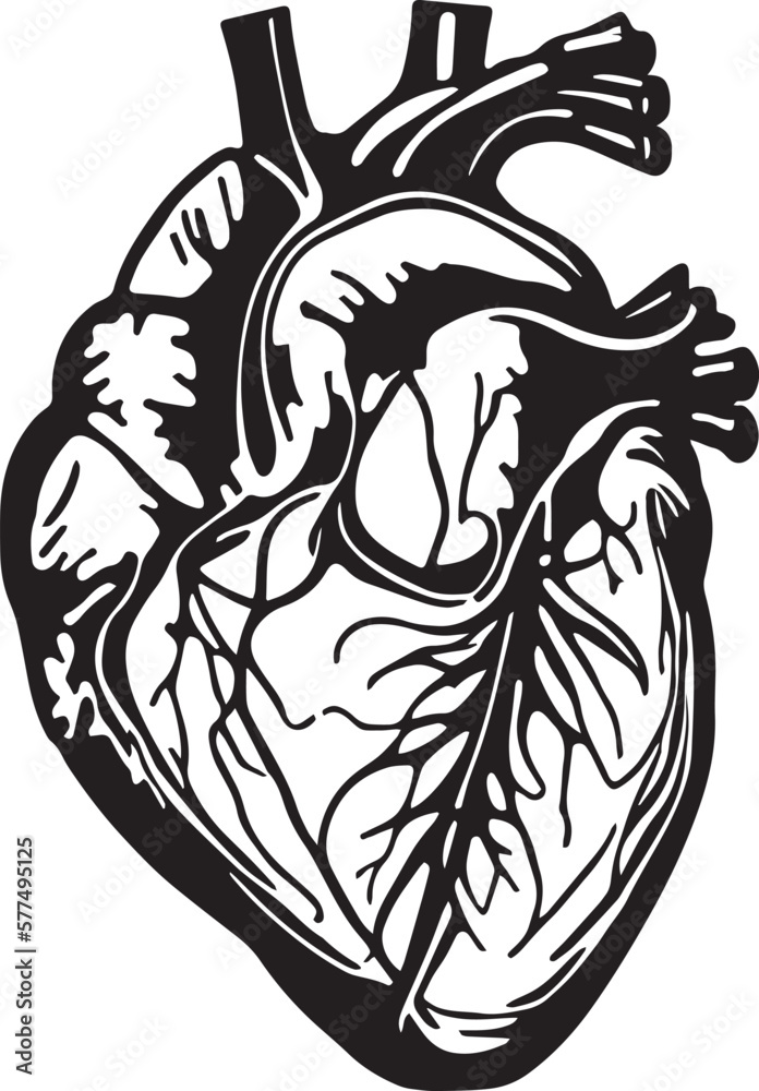 Human heart Vector illustration, on a white background, SVG Stock ...