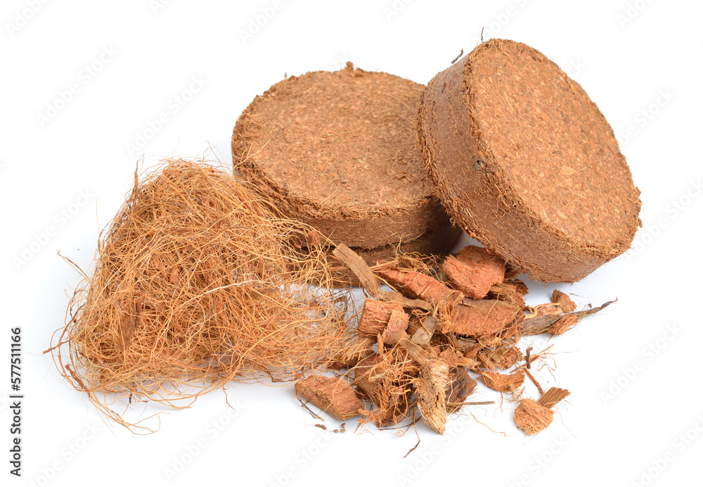 Coconut Coir substrate. Pressed briquette with fiber and chips ...