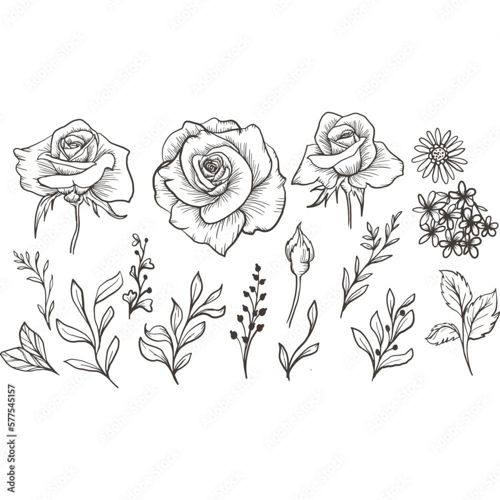 Rose Illustration Graphic Set, Rose Graphic, Rose Illustration, Flower ...