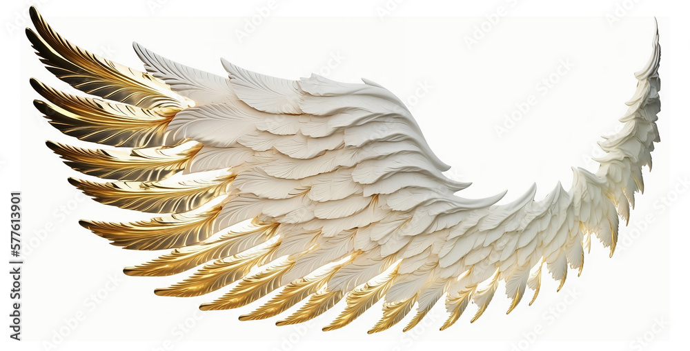 Golden White angel wings render 3D feather bird wings isolated on white ...