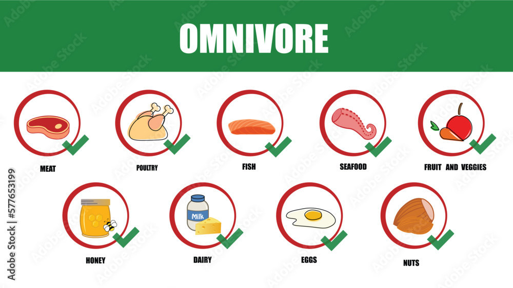 Omnivore. Types of diets and nutrition plans from weight loss ...