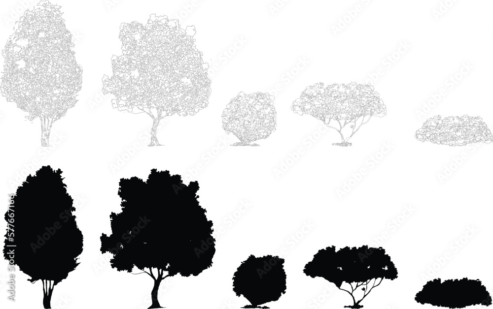 silhouette tree line drawing, Side view, set of graphics trees elements ...