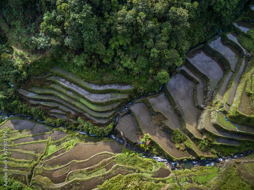 Banaue Rice Terraces in Philippines. Landscape and Nature. Beautiful ...