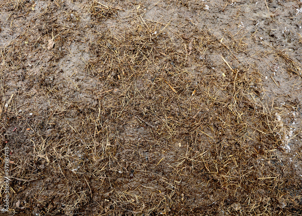 Top view, dung texture. Background of natural manure. Fertilizer for ...
