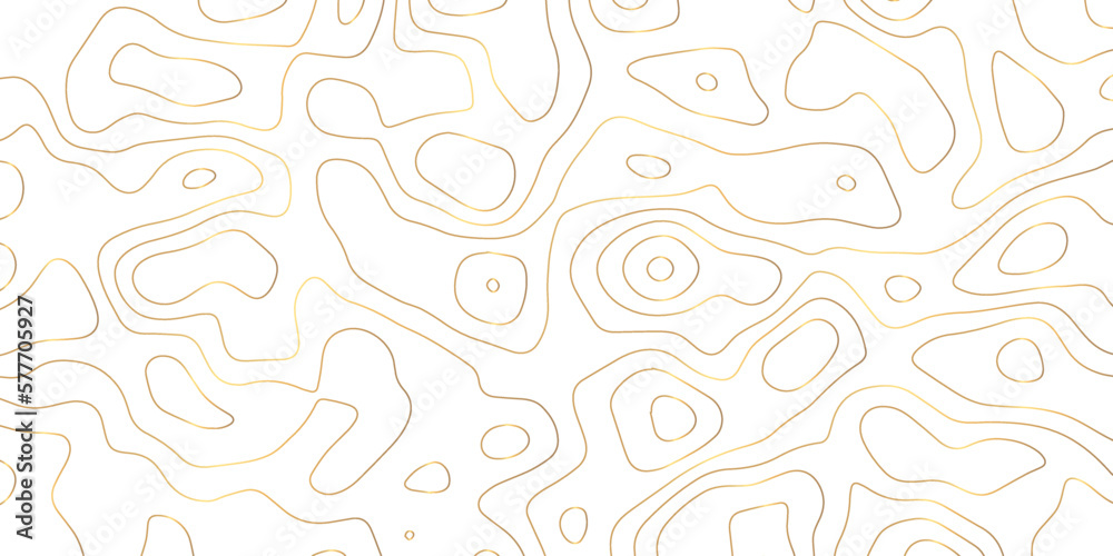 Abstract Topographic map background with wave line. gradient multicolor ...