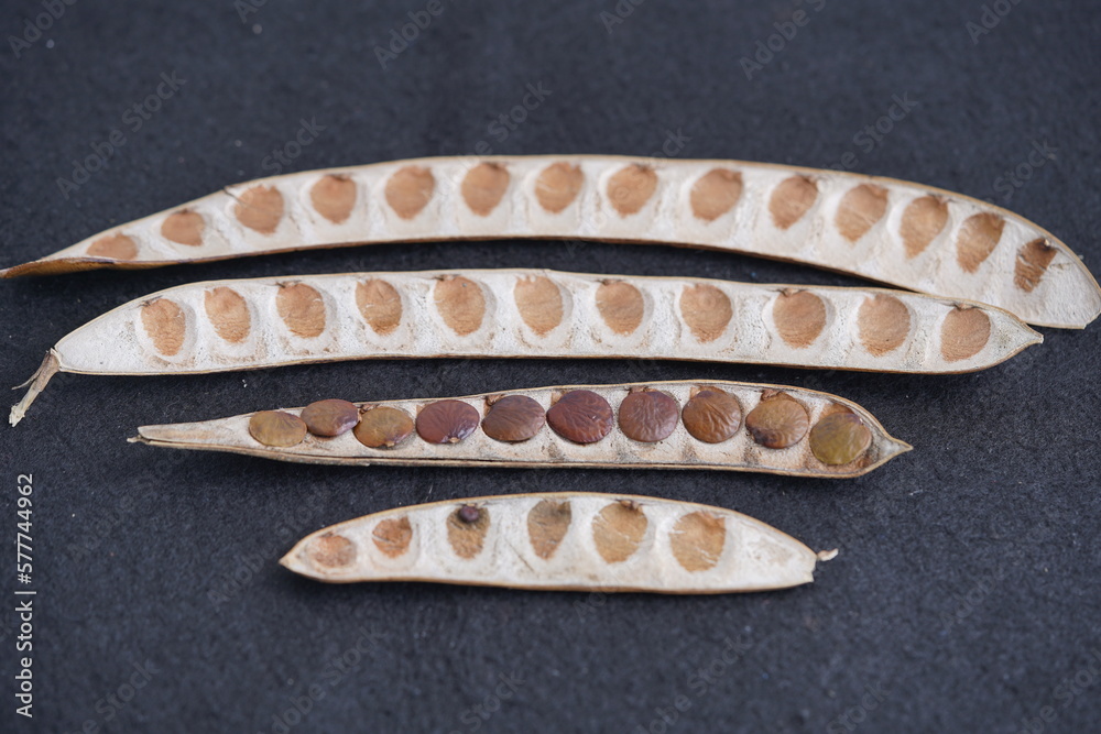 Foto de Seeds of Inga edulis, Fabaceae family, known as ice-cream bean ... Foto de Seeds of Inga edulis, Fabaceae family, known as ice-cream bean ...