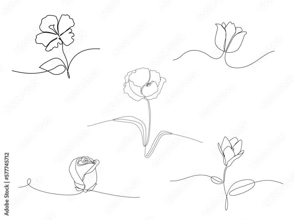 Continuous line drawing of flowers.Poppy,magnolia,tulip,rose ,camomile ...
