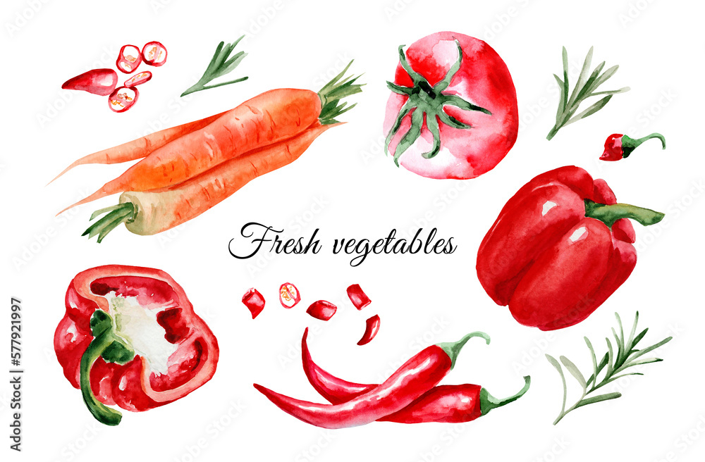 Red vegetables. Watercolor hand drawn illustration with paprika, chili ...
