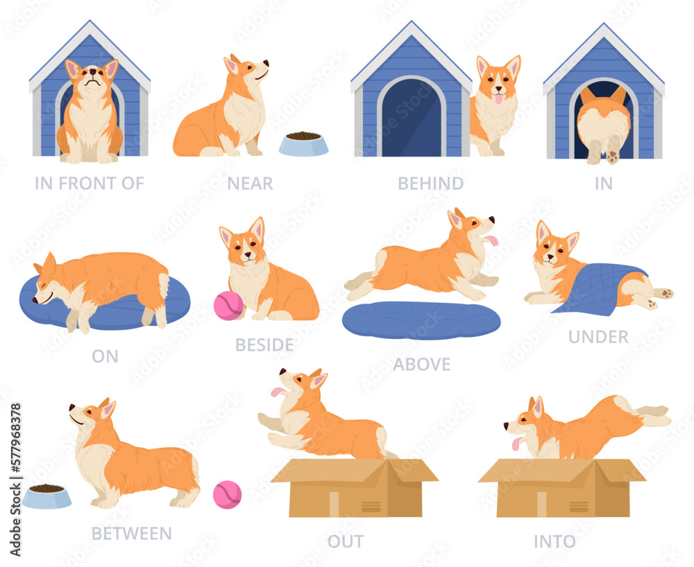 Cartoon english prepositions with puppy. Cute dogs sitting, standing ...