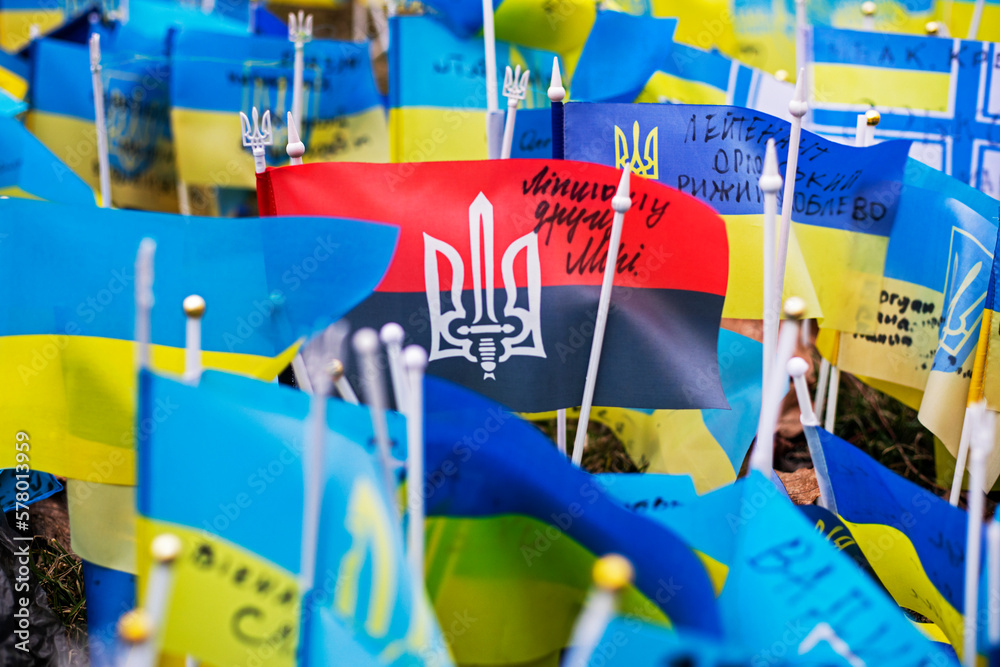 flags of Ukraine with a trident and a rebel flag in the middle as a ...