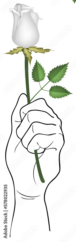 Hand Drawn Sketch of Hand Holding Beautiful White Rose with Green ...