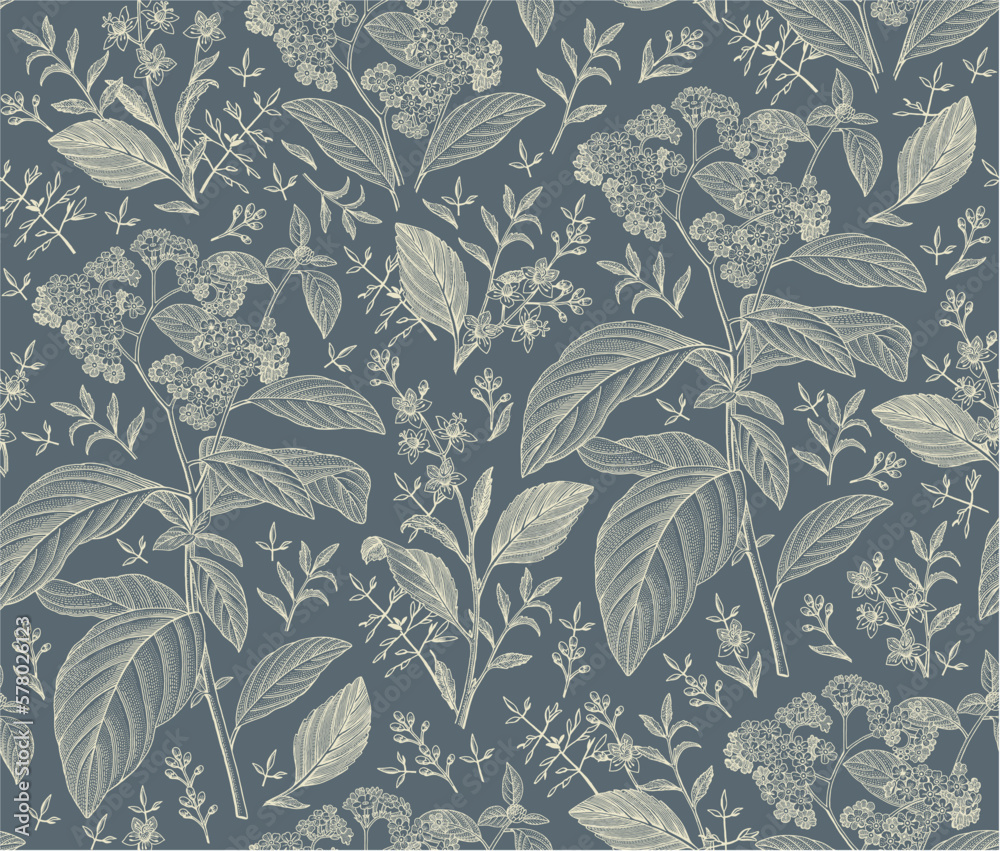 Seamless pattern. Heliotrope garden wildflowers. Beautiful blooming ...