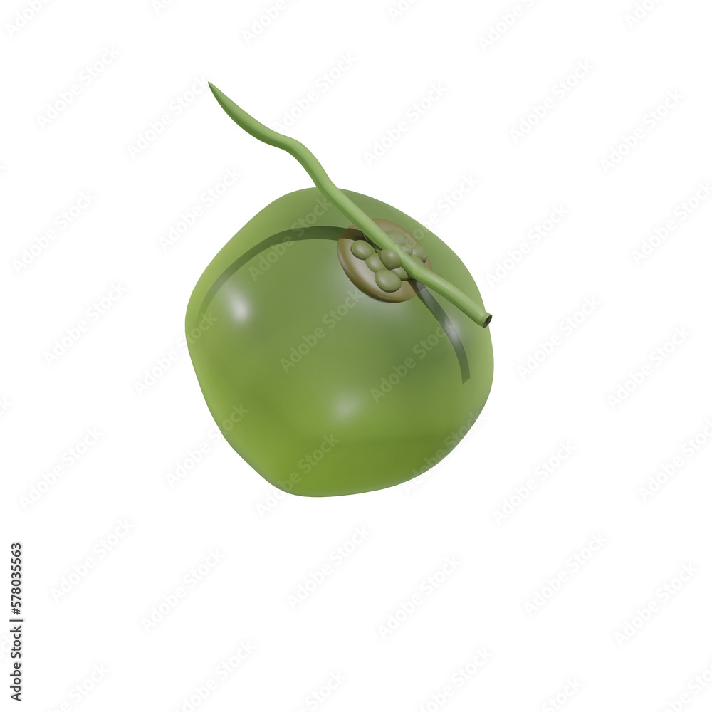 coconut kelapa fruit 3d render illustration, icon,view, render, hd ...