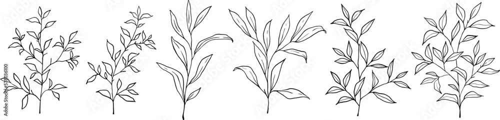 Set of outline botanical branches with leaves. Hand drawn botanical ...