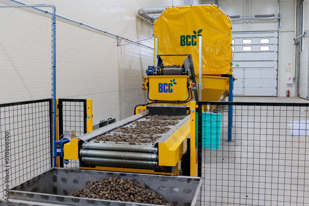 BCC’s nursery production system. Forest seed center. Automatic filling ...