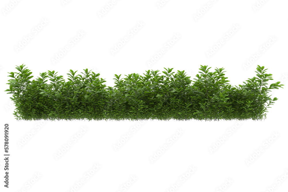 Foliage isolated on transparent background. 3d rendering - illustration ...