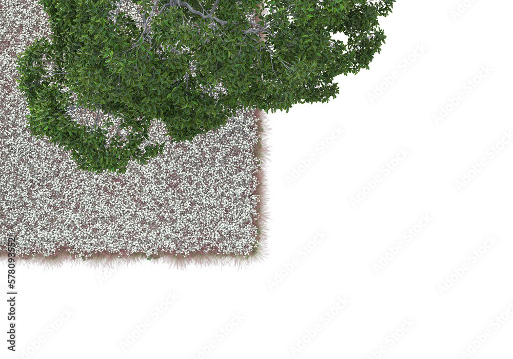 Realistic forest island on transparent background. 3d rendering ...