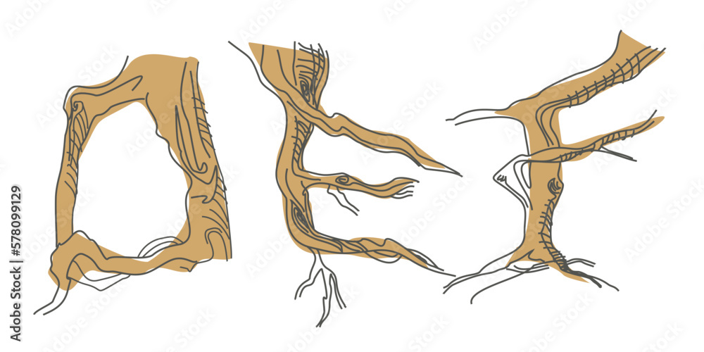 Initial letters D, E, F. Decorative font from tree roots. Environmental ...