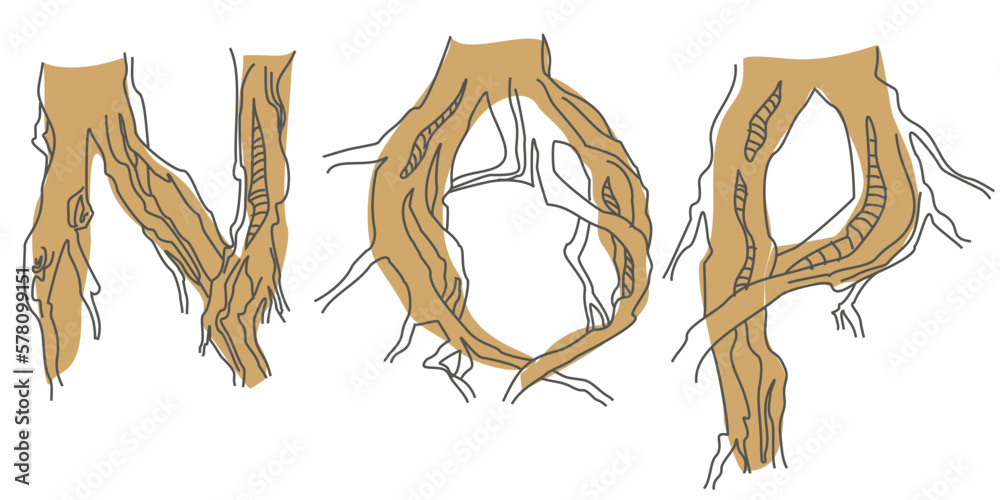 Set initial letters N, O, P. Decorative font from tree roots ...