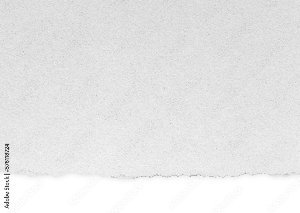 Torn paper on transparent background PNG Stock Photo | Adobe Stock