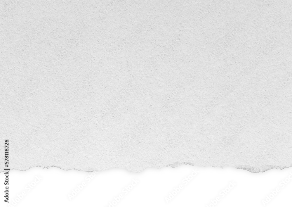 Torn paper on transparent background PNG Stock Photo | Adobe Stock