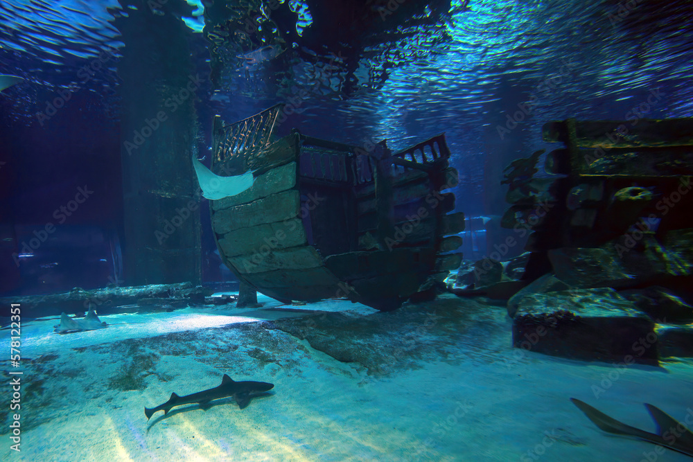 Underwater view of fish swimming around a broken sunken ship Stock ...