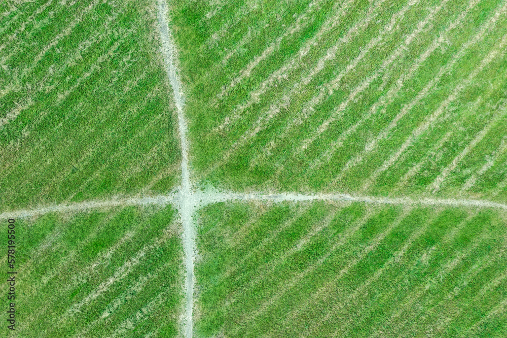 aerial view of a beveled green lawn with crossing of footpaths. natural ...