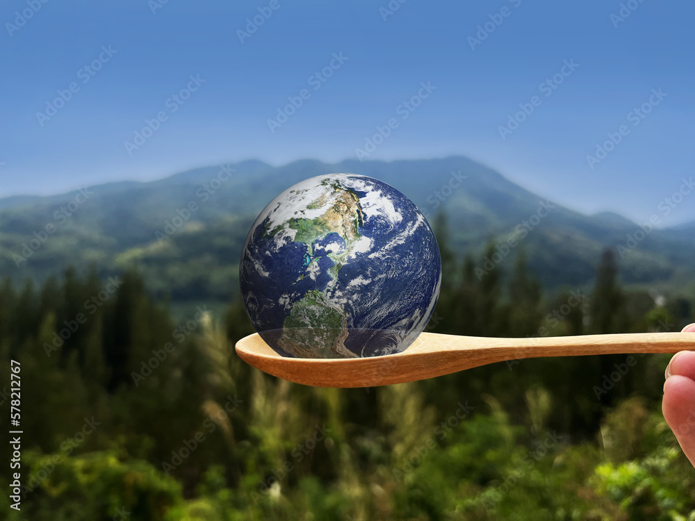 Sustainable food concept on blurred nature background, plant based ...