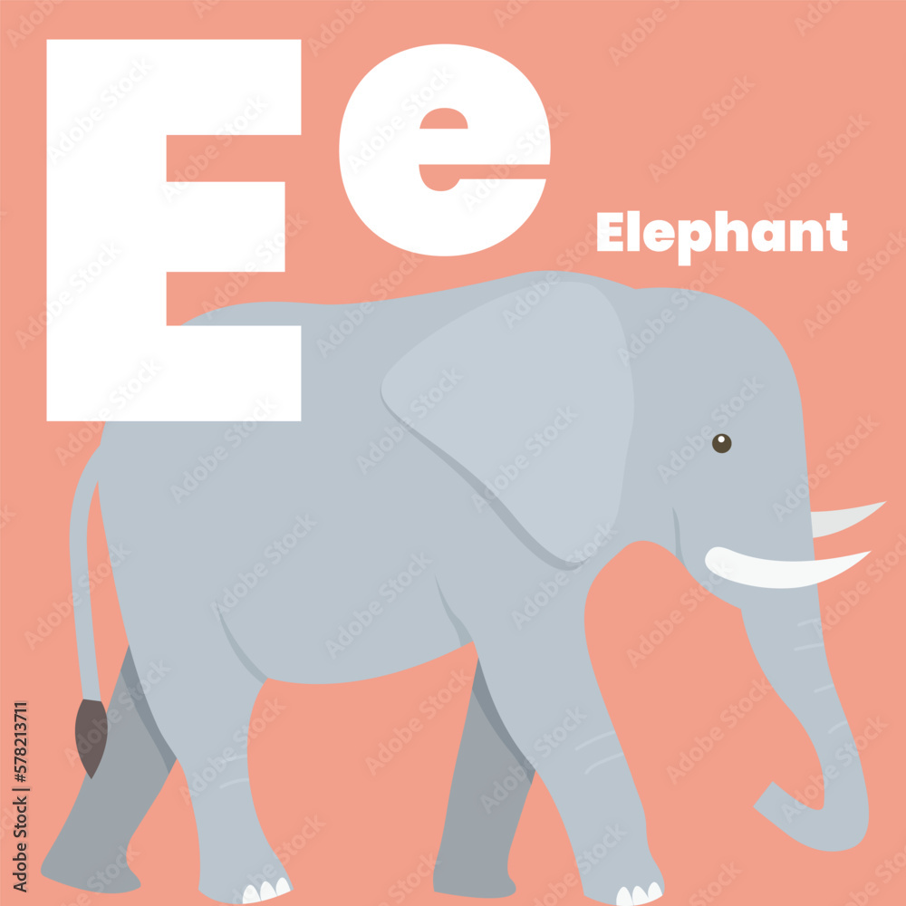 Cute children ABC alphabet flashcard words with the letter E Stock ...