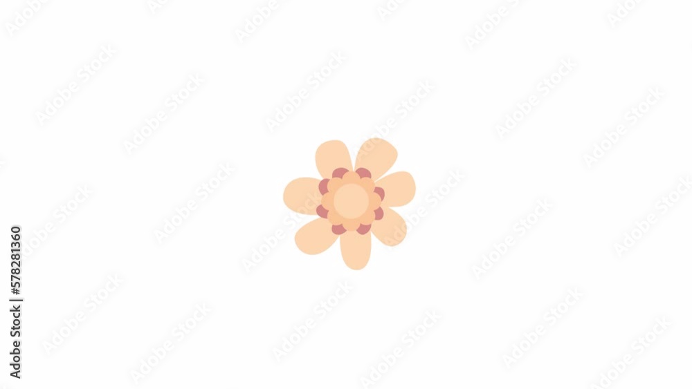 Animated full bloom flower with core. Perennial plant for spring garden ...