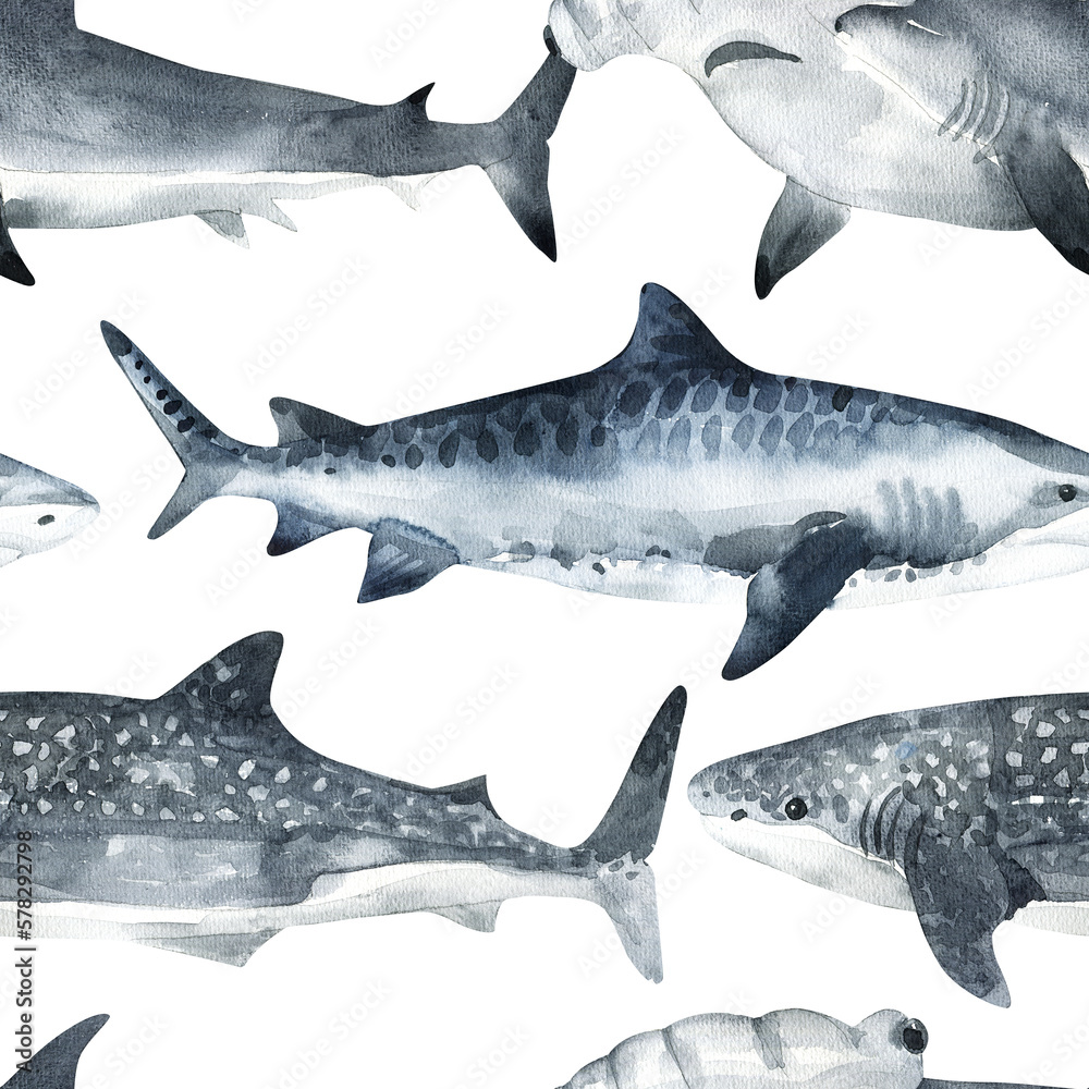 watercolor shark pattern isolated on white background.watercolor whale ...