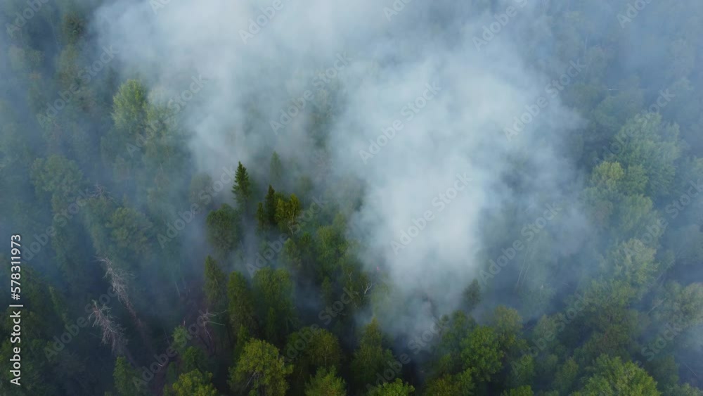 thick plumes of smoke above uncontrolled forest fires in spring ...
