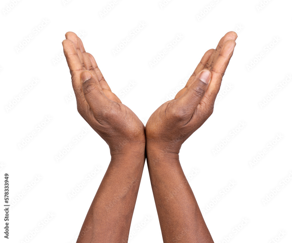 Charity, protection and care gesture. Black male hands keep empty ...