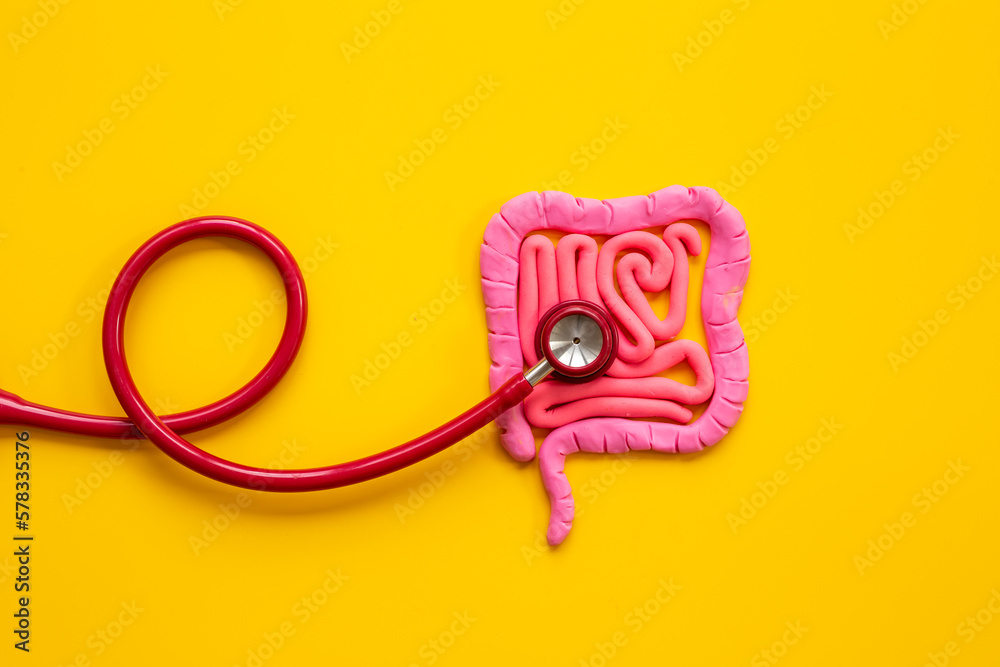 Digestive colon system health concept. Intestines shape made of ...