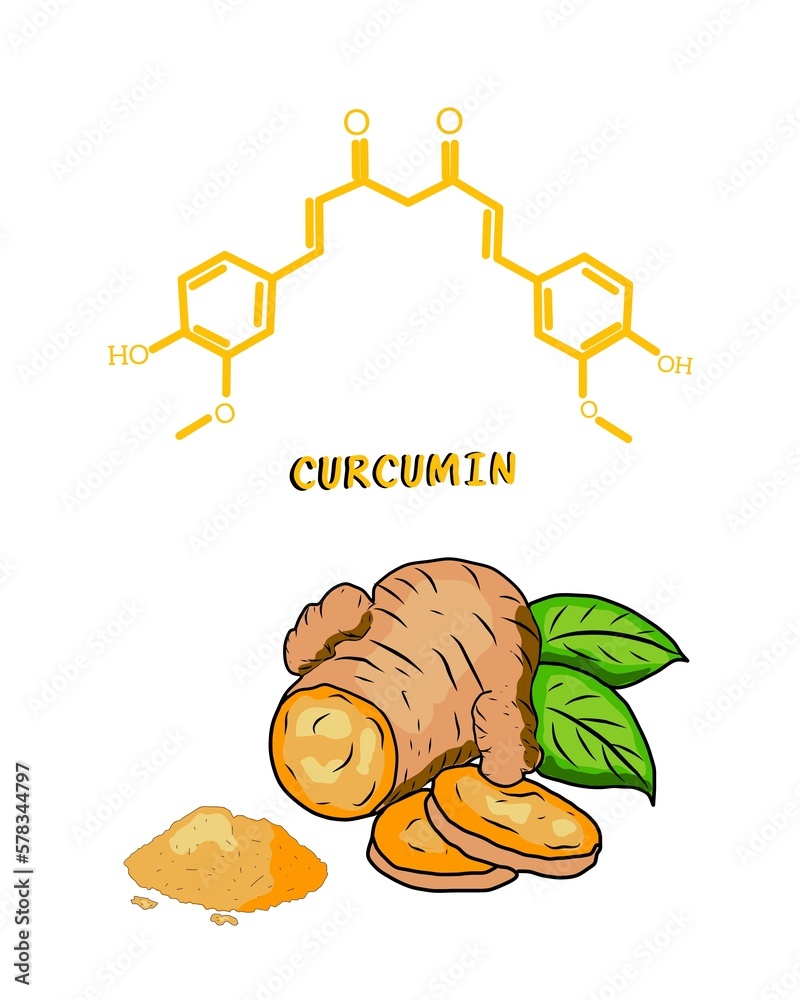 Black Turmeric Chemical Composition at Susan Tucker blog