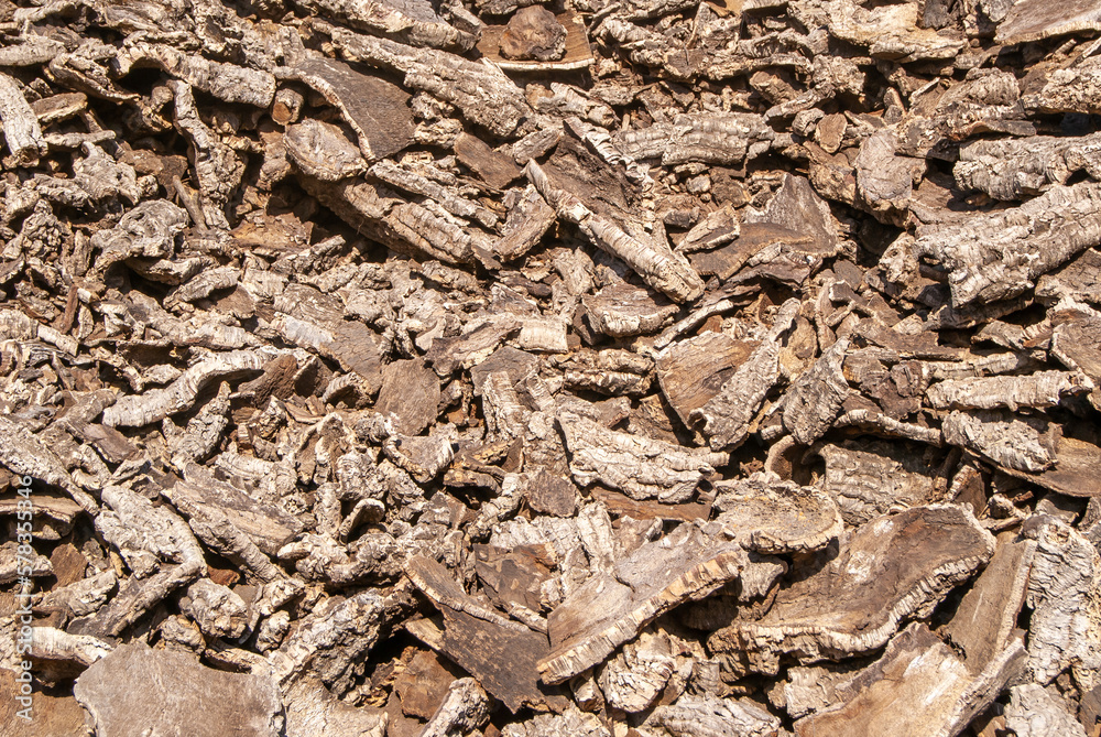Fondos o texturas de cortezas de corcho del Alcornoque. Stock Photo ...