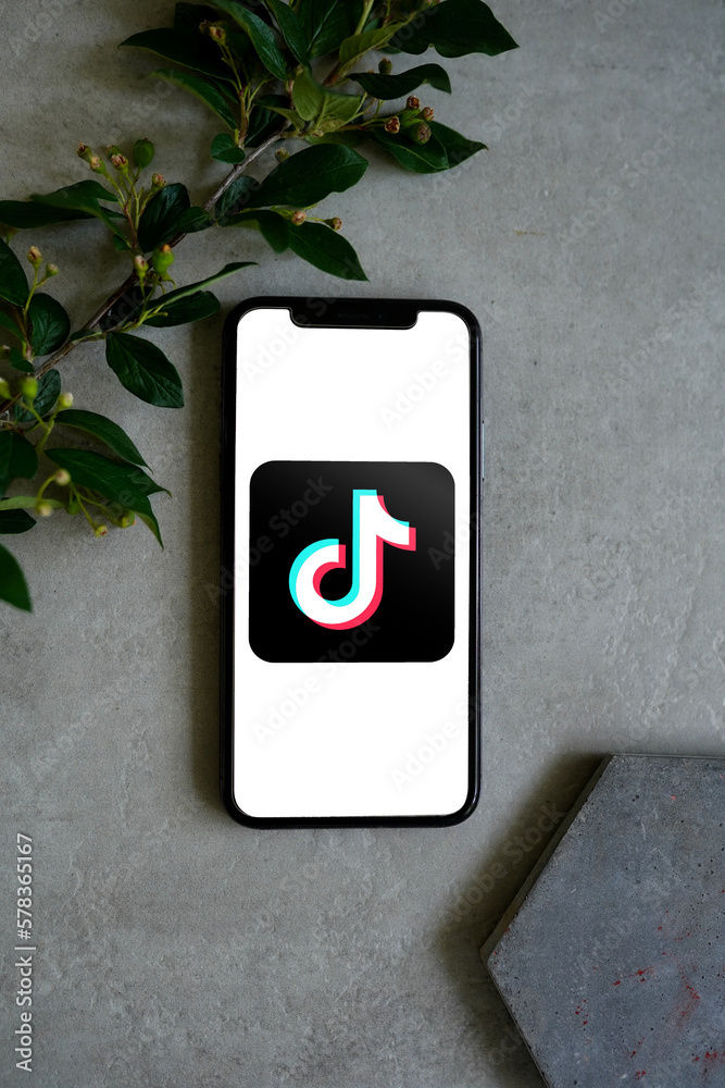 Mobile phone with the TikTok Logo on the screen Stock Photo | Adobe Stock