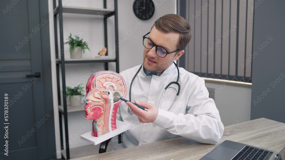 Otolaryngologist consultation. ENT doctor using throat anatomical model ...