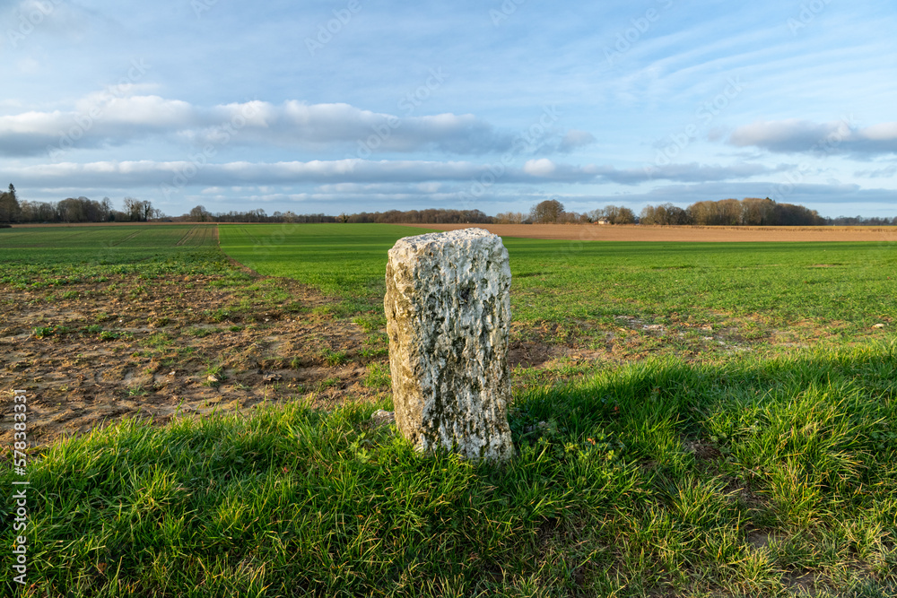 Bornage de parcelles agricoles. Borne en pierre délimitant 2 champs ...