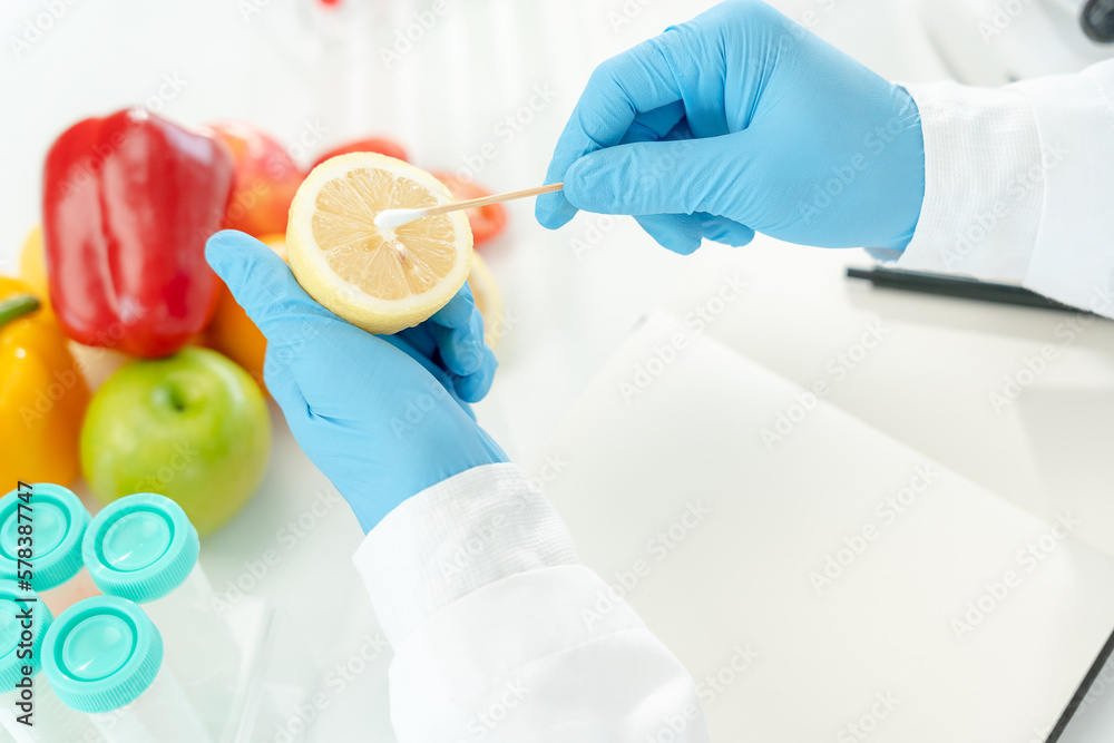 Scientist check chemical food residues in laboratory. Control experts ...