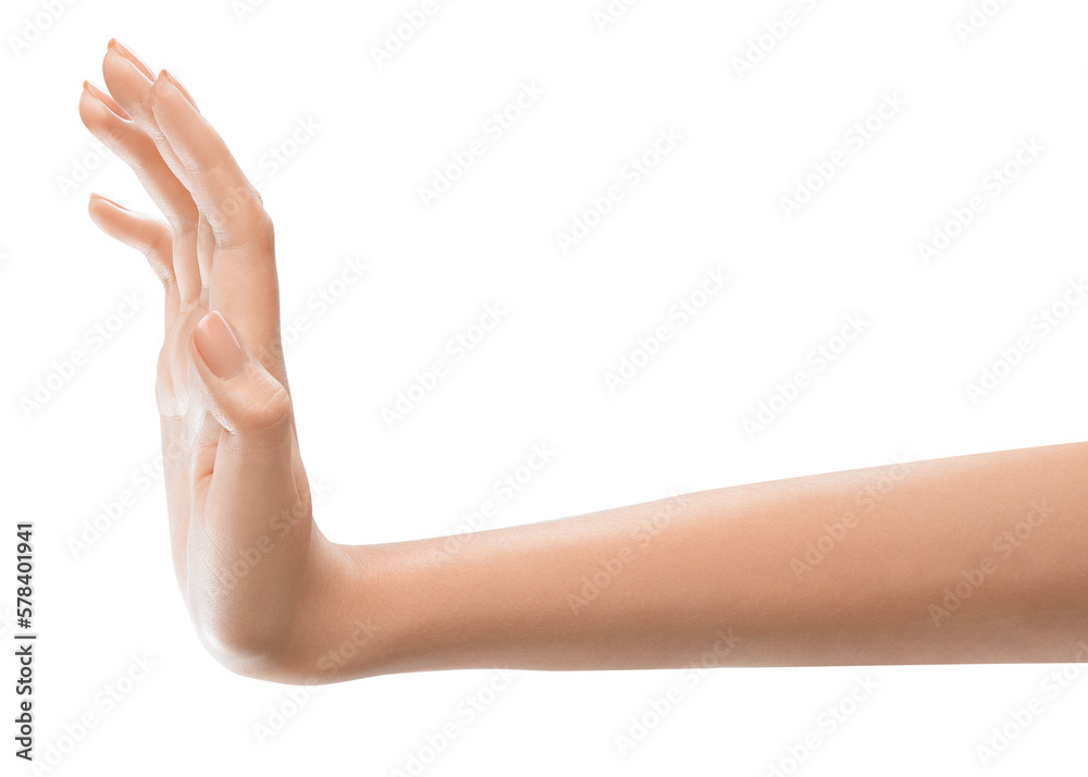 Human Hand signing stop isolated transparent PNG photo. Woman's hand ...