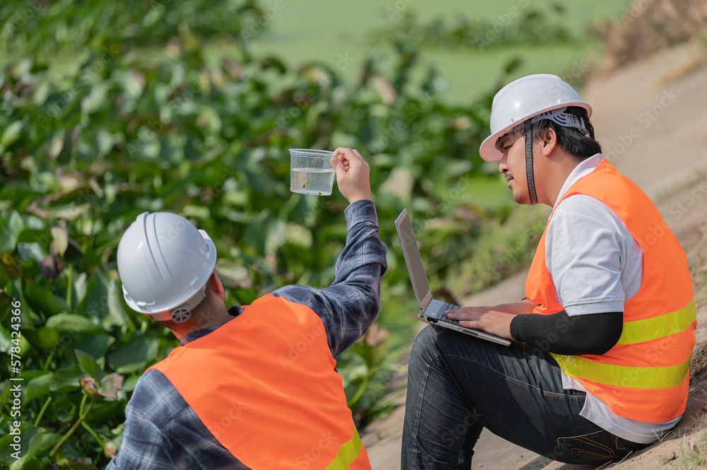 Environmental engineers inspect water quality,Bring water to the lab ...