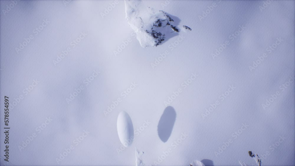 Oval shaped UFO UAP moving over a plane in the Polar Arctic region ...