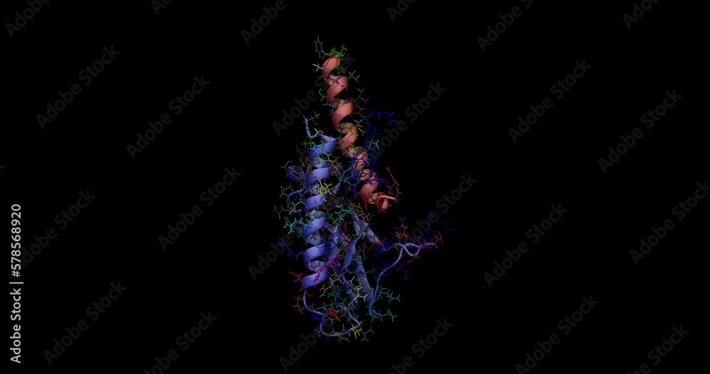 Semaglutide, Ozempic, Wegovy, Rybelsus, antidiabetic medication 3D ...